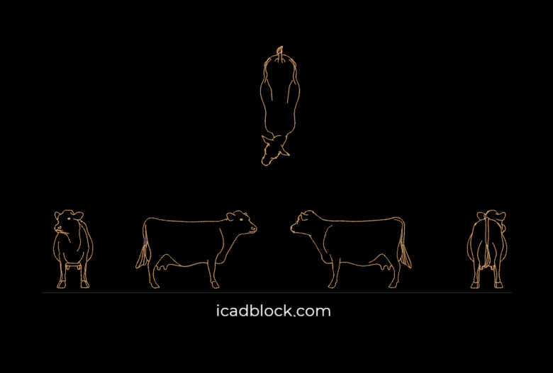 Cow AutoCAD drawing free download - iCADBLOCK
